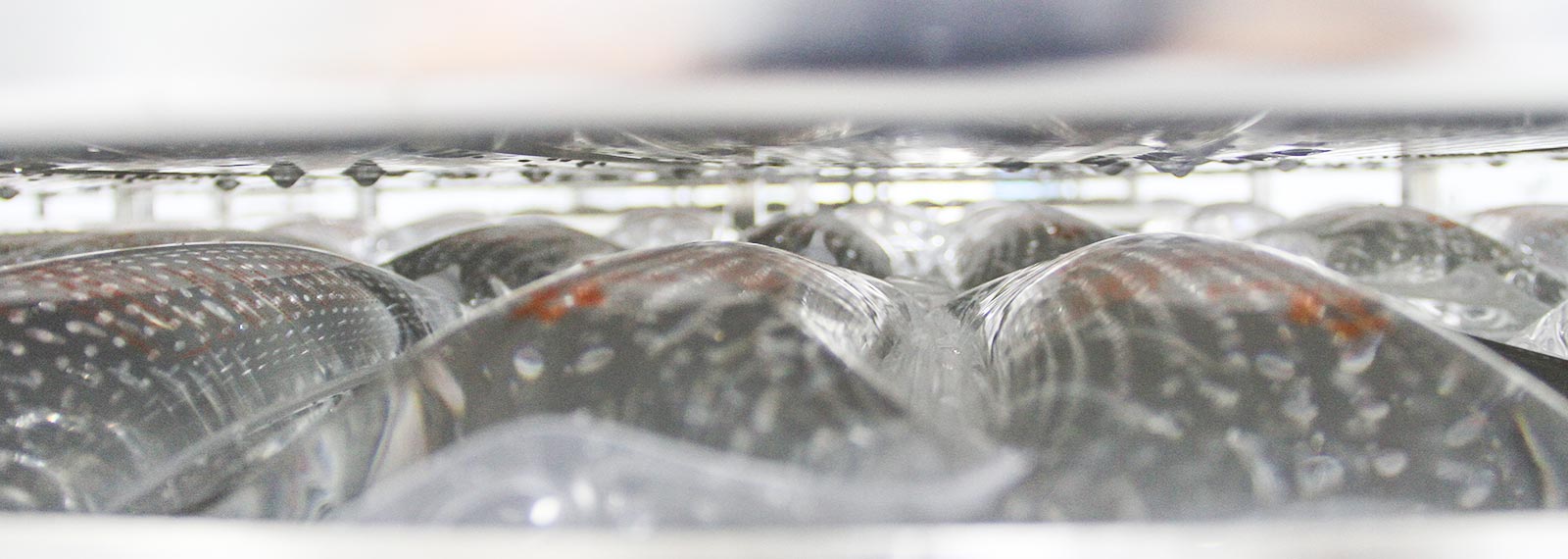 Miamed Pharmaceutical Industry